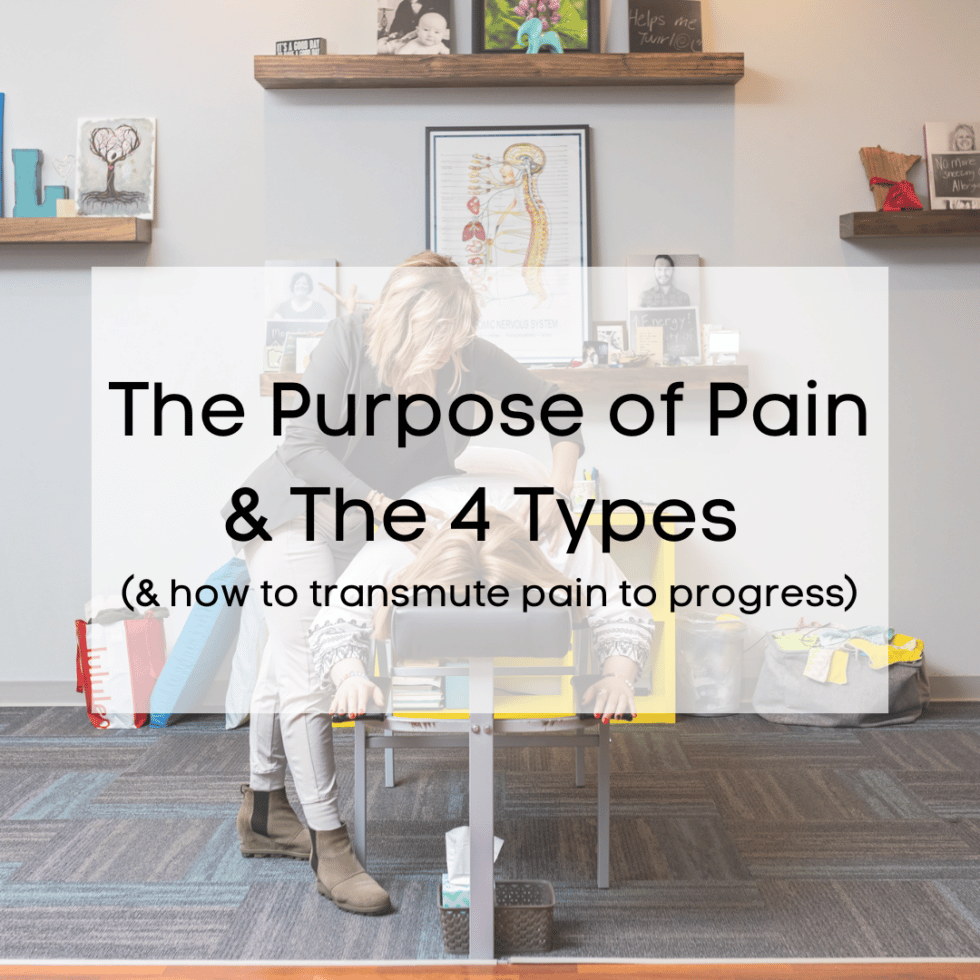 The Purpose of Pain & The 4 Types (& how to transmute pain to progress ...